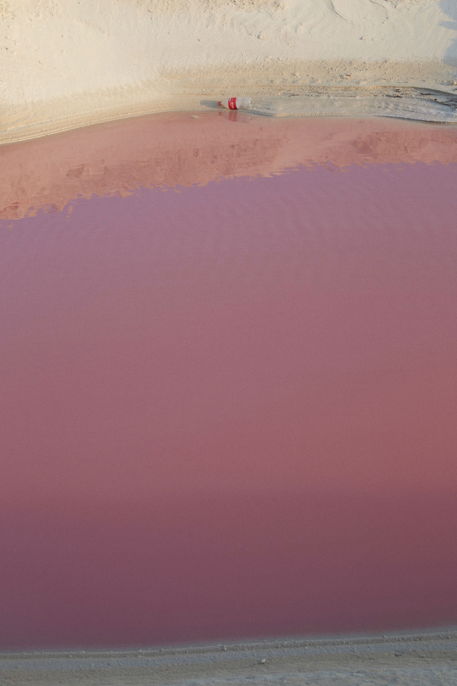 Sean + Seng - The Good Company Reps